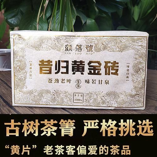 大理茶向金是什么茶_大理茶向金多少钱一斤-第1张图片-山城妙识 大理茶向金是什么茶_大理茶向金多少钱一斤-第1张图片-山城妙识