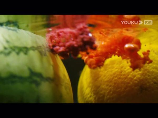 水果传影评好看吗_纪录片水果传讲了什么-第1张图片-山城妙识 水果传影评好看吗_纪录片水果传讲了什么-第1张图片-山城妙识