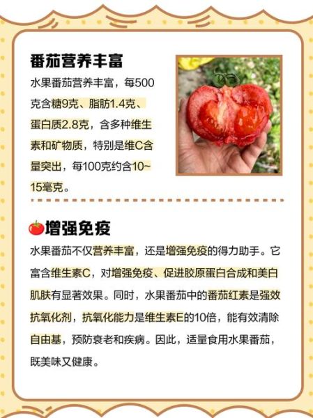 西红柿有什么营养_西红柿的功效与作用-第3张图片-山城妙识 西红柿有什么营养_西红柿的功效与作用-第3张图片-山城妙识