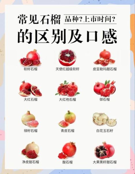石榴的功效与作用_石榴的禁忌人群有哪些-第2张图片-山城妙识 石榴的功效与作用_石榴的禁忌人群有哪些-第2张图片-山城妙识