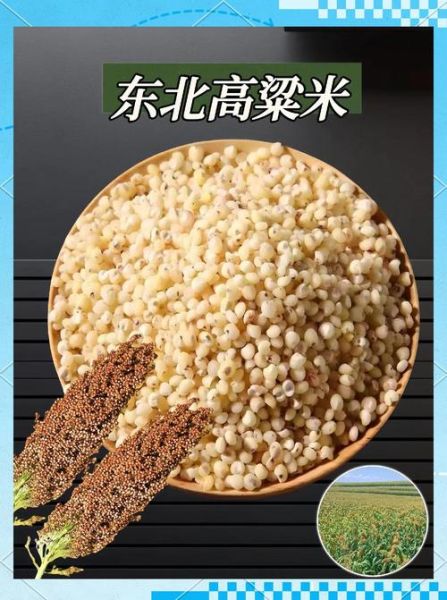 高粱米怎么做好吃_高粱米的功效与作用-第1张图片-山城妙识 高粱米怎么做好吃_高粱米的功效与作用-第1张图片-山城妙识