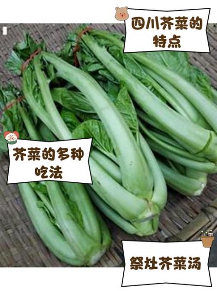 四川蔬菜大全有哪些_四川蔬菜怎么保存-第1张图片-山城妙识