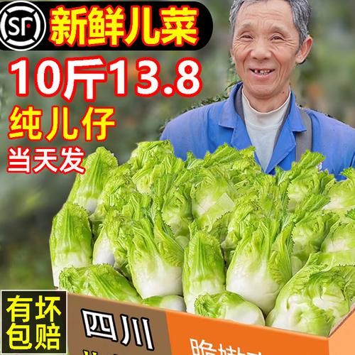 四川蔬菜大全有哪些_四川蔬菜怎么保存-第2张图片-山城妙识