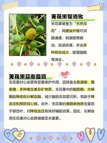 无花果的好处与功效有哪些_无花果怎么吃最营养-第3张图片-山城妙识 无花果的好处与功效有哪些_无花果怎么吃最营养-第3张图片-山城妙识