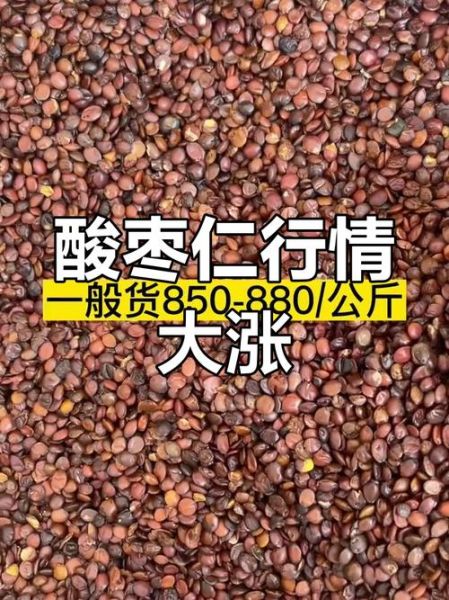酸枣仁的价格多少钱一斤_酸枣仁价格影响因素-第1张图片-山城妙识 酸枣仁的价格多少钱一斤_酸枣仁价格影响因素-第1张图片-山城妙识