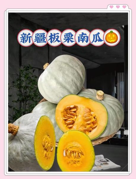 板栗南瓜怎么蒸好吃_板栗南瓜做法窍门-第3张图片-山城妙识 板栗南瓜怎么蒸好吃_板栗南瓜做法窍门-第3张图片-山城妙识