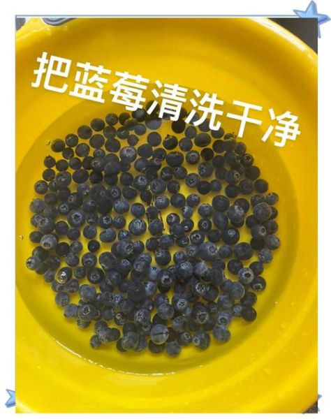 瓶装蓝莓酱怎么稀释_蓝莓酱太稠怎么办-第1张图片-山城妙识 瓶装蓝莓酱怎么稀释_蓝莓酱太稠怎么办-第1张图片-山城妙识