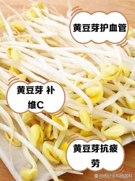 黄豆芽比黄豆更有营养吗_发芽后营养变化原理-第3张图片-山城妙识 黄豆芽比黄豆更有营养吗_发芽后营养变化原理-第3张图片-山城妙识