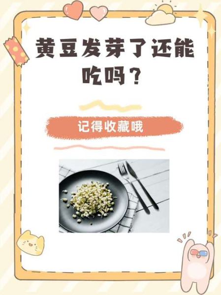 黄豆芽比黄豆更有营养吗_发芽后营养变化原理-第2张图片-山城妙识 黄豆芽比黄豆更有营养吗_发芽后营养变化原理-第2张图片-山城妙识