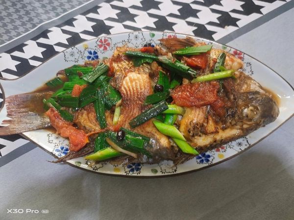 番茄红烧罗非鱼怎么做_罗非鱼番茄红烧做法大全-第1张图片-山城妙识 番茄红烧罗非鱼怎么做_罗非鱼番茄红烧做法大全-第1张图片-山城妙识