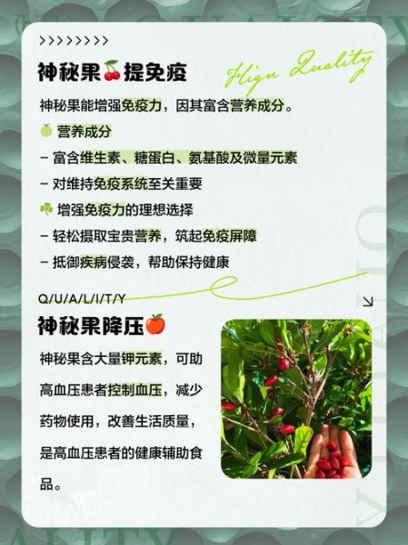 神秘果骗局揭秘_神秘果减肥效果真假-第1张图片-山城妙识 神秘果骗局揭秘_神秘果减肥效果真假-第1张图片-山城妙识