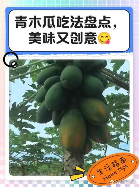 青木瓜怎么吃好吃_青木瓜最简单的吃法-第3张图片-山城妙识 青木瓜怎么吃好吃_青木瓜最简单的吃法-第3张图片-山城妙识
