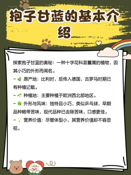 抱子甘蓝多少钱一斤_抱子甘蓝价格行情-第2张图片-山城妙识 抱子甘蓝多少钱一斤_抱子甘蓝价格行情-第2张图片-山城妙识