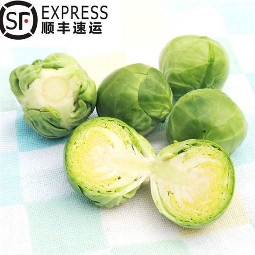 抱子甘蓝多少钱一斤_抱子甘蓝价格行情-第1张图片-山城妙识 抱子甘蓝多少钱一斤_抱子甘蓝价格行情-第1张图片-山城妙识