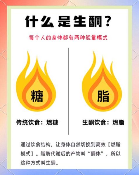 低碳水饮食有哪些好处_生酮饮食适合所有人吗-第1张图片-山城妙识 低碳水饮食有哪些好处_生酮饮食适合所有人吗-第1张图片-山城妙识