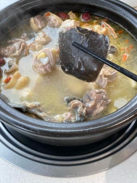 甲鱼老母鸡汤怎么炖好喝_甲鱼汤去腥技巧-第1张图片-山城妙识 甲鱼老母鸡汤怎么炖好喝_甲鱼汤去腥技巧-第1张图片-山城妙识