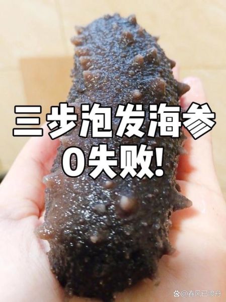 干海参怎么泡发_干海参怎么处理才干净-第3张图片-山城妙识 干海参怎么泡发_干海参怎么处理才干净-第3张图片-山城妙识