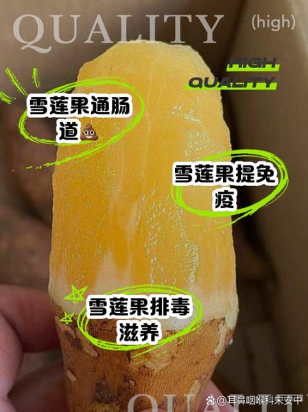 雪莲果的功效与禁忌_雪莲果怎么吃最好-第1张图片-山城妙识 雪莲果的功效与禁忌_雪莲果怎么吃最好-第1张图片-山城妙识