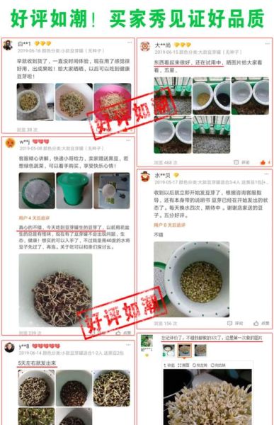 豆芽机怎么发豆芽_家用豆芽机使用步骤-第1张图片-山城妙识 豆芽机怎么发豆芽_家用豆芽机使用步骤-第1张图片-山城妙识