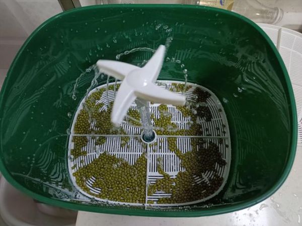 豆芽机怎么发豆芽_家用豆芽机使用步骤-第3张图片-山城妙识 豆芽机怎么发豆芽_家用豆芽机使用步骤-第3张图片-山城妙识