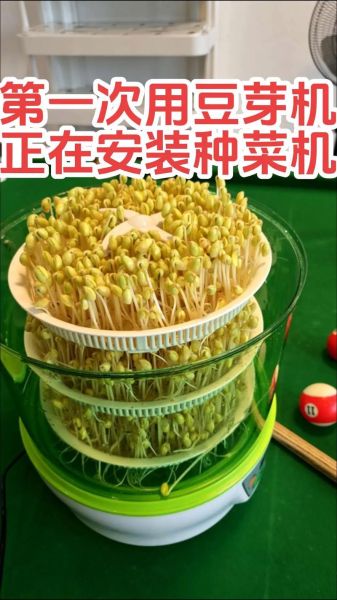 豆芽机怎么发豆芽_家用豆芽机使用步骤-第2张图片-山城妙识 豆芽机怎么发豆芽_家用豆芽机使用步骤-第2张图片-山城妙识