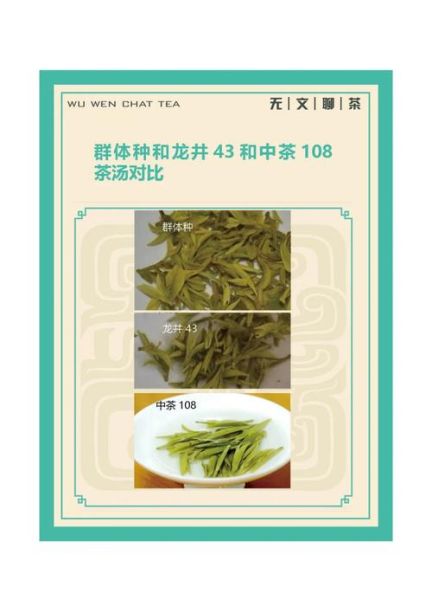 龙井茶有几个品种_龙井茶品种区别-第2张图片-山城妙识 龙井茶有几个品种_龙井茶品种区别-第2张图片-山城妙识