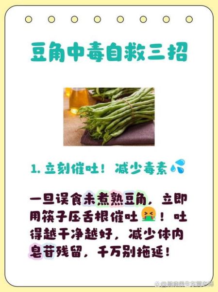 四季豆中毒怎么办_四季豆中毒用啥方法解毒-第1张图片-山城妙识 四季豆中毒怎么办_四季豆中毒用啥方法解毒-第1张图片-山城妙识
