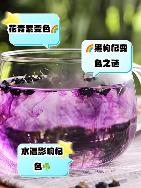 黑枸杞泡水后掉色正常吗_假黑枸杞鉴别方法-第3张图片-山城妙识 黑枸杞泡水后掉色正常吗_假黑枸杞鉴别方法-第3张图片-山城妙识