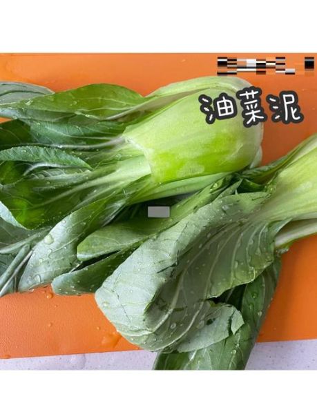 油菜怎么做给宝宝吃_油菜泥辅食做法-第1张图片-山城妙识 油菜怎么做给宝宝吃_油菜泥辅食做法-第1张图片-山城妙识