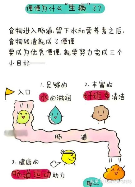 便秘怎么办_最快通便小妙招-第2张图片-山城妙识 便秘怎么办_最快通便小妙招-第2张图片-山城妙识