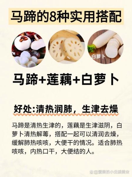 荸荠的功效与作用_荸荠怎么吃最营养-第1张图片-山城妙识 荸荠的功效与作用_荸荠怎么吃最营养-第1张图片-山城妙识
