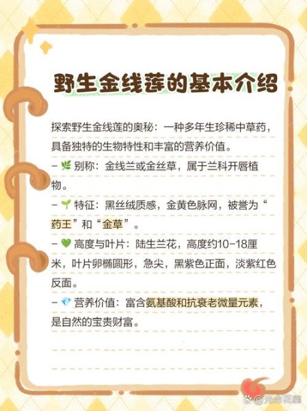 金线莲价格多少钱一斤_金线莲为什么这么贵-第2张图片-山城妙识 金线莲价格多少钱一斤_金线莲为什么这么贵-第2张图片-山城妙识