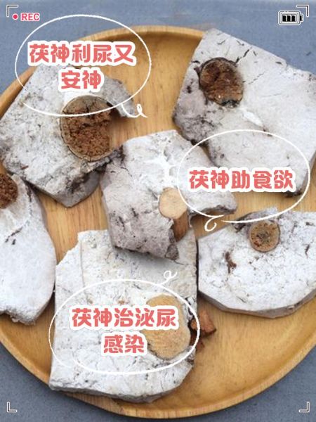 茯神的功效与作用及禁忌_茯神适合哪些人吃-第3张图片-山城妙识 茯神的功效与作用及禁忌_茯神适合哪些人吃-第3张图片-山城妙识