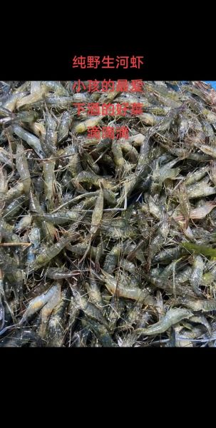 河虾图片大全哪里找_河虾高清图片怎么拍-第2张图片-山城妙识 河虾图片大全哪里找_河虾高清图片怎么拍-第2张图片-山城妙识