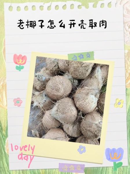 椰肉怎么取出来_椰子肉取不出来怎么办-第3张图片-山城妙识 椰肉怎么取出来_椰子肉取不出来怎么办-第3张图片-山城妙识
