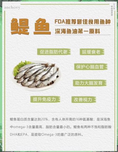 鳀鱼的营养价值_鳀鱼的功效与作用-第1张图片-山城妙识