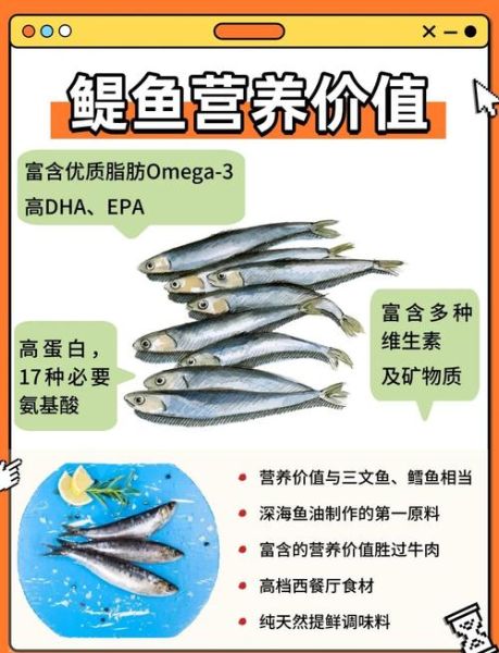 鳀鱼的营养价值_鳀鱼的功效与作用-第2张图片-山城妙识