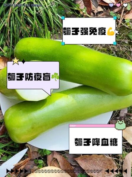 瓠子的功效与作用_瓠子什么人不能吃-第1张图片-山城妙识 瓠子的功效与作用_瓠子什么人不能吃-第1张图片-山城妙识