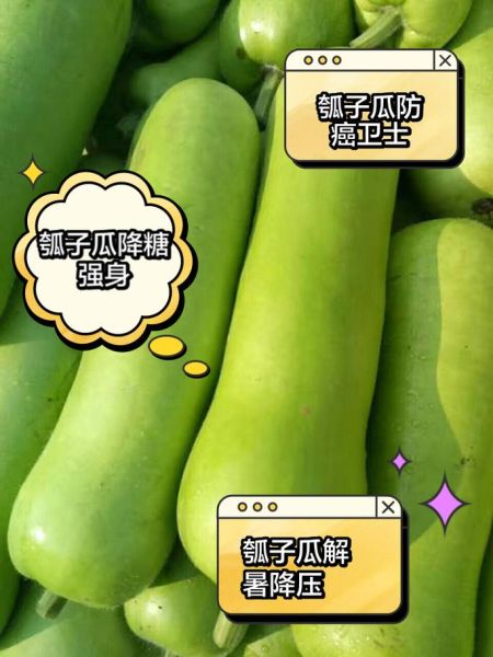 瓠子的功效与作用_瓠子什么人不能吃-第3张图片-山城妙识 瓠子的功效与作用_瓠子什么人不能吃-第3张图片-山城妙识