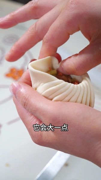 包子怎么包_包子皮怎么擀-第1张图片-山城妙识 包子怎么包_包子皮怎么擀-第1张图片-山城妙识