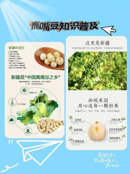 鹰嘴豆的功效与作用_鹰嘴豆的营养价值-第1张图片-山城妙识 鹰嘴豆的功效与作用_鹰嘴豆的营养价值-第1张图片-山城妙识