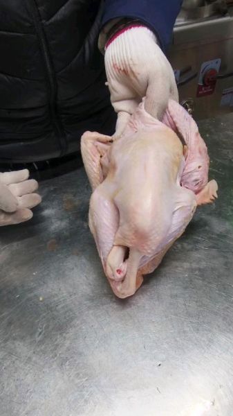 盘鸡怎么盘_盘鸡步骤视频教学-第3张图片-山城妙识