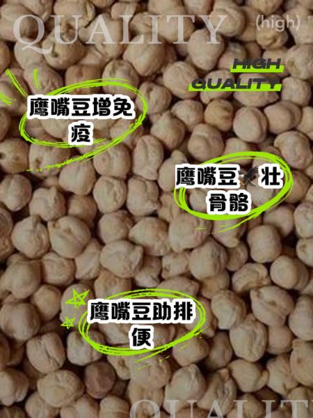 鹰嘴豆的功效与作用_鹰嘴豆的营养价值-第3张图片-山城妙识 鹰嘴豆的功效与作用_鹰嘴豆的营养价值-第3张图片-山城妙识