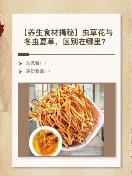 虫草花功效与作用_适合哪些人吃-第3张图片-山城妙识