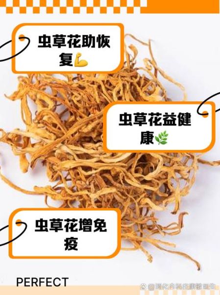 虫草花功效与作用_适合哪些人吃-第2张图片-山城妙识