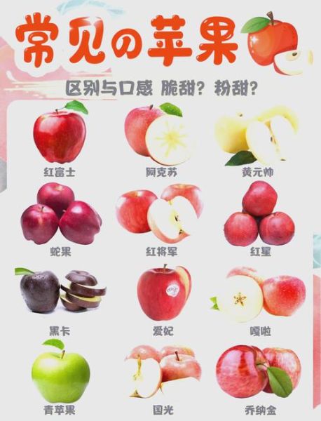苹果热量高吗_苹果糖分多吗-第2张图片-山城妙识 苹果热量高吗_苹果糖分多吗-第2张图片-山城妙识