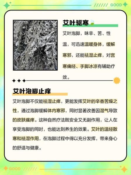 艾草泡脚治什么病_艾草泡脚的功效与作用-第3张图片-山城妙识