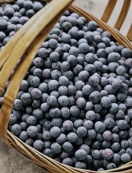 蓝莓酱怎么吃_蓝莓酱的做法大全窍门-第3张图片-山城妙识 蓝莓酱怎么吃_蓝莓酱的做法大全窍门-第3张图片-山城妙识