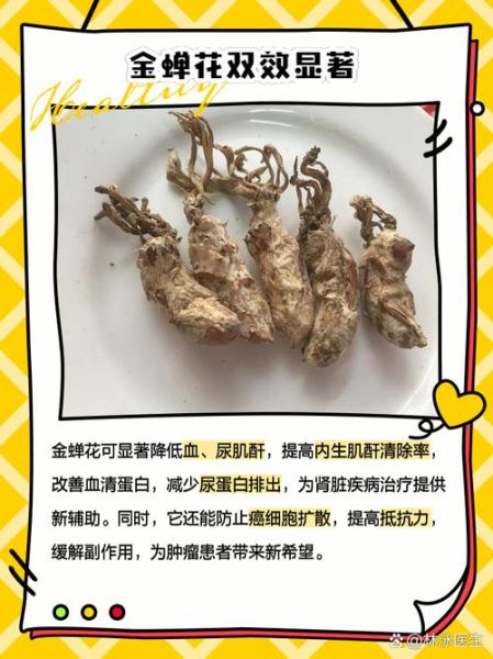 金蝉花有什么功效_金蝉花能提高免疫力吗-第3张图片-山城妙识 金蝉花有什么功效_金蝉花能提高免疫力吗-第3张图片-山城妙识