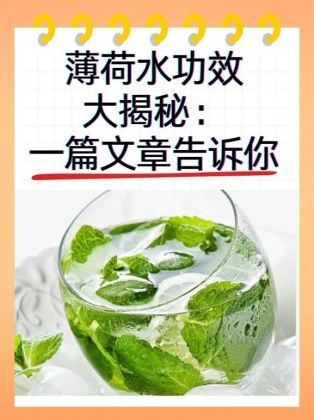 薄荷叶泡水喝的功效与作用_薄荷叶泡水能天天喝吗-第1张图片-山城妙识 薄荷叶泡水喝的功效与作用_薄荷叶泡水能天天喝吗-第1张图片-山城妙识